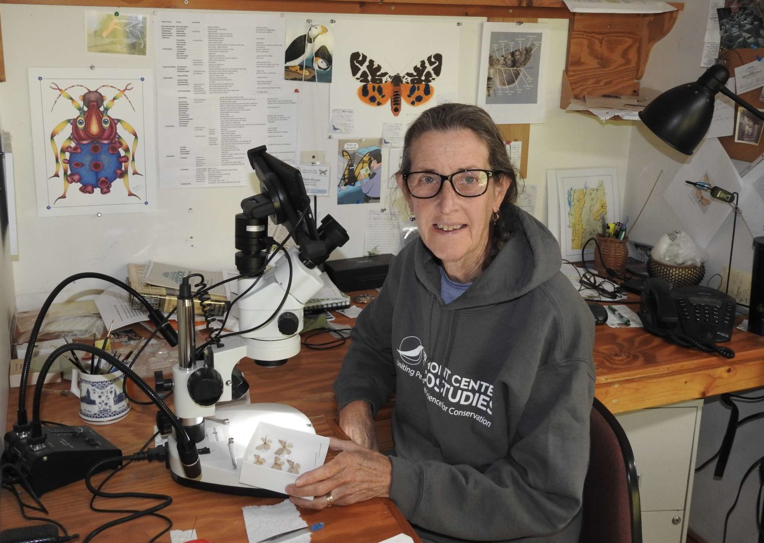 A Lifetime Dedicated to Nature: JoAnne Russo Receives VCE’s 2020 Julie ...