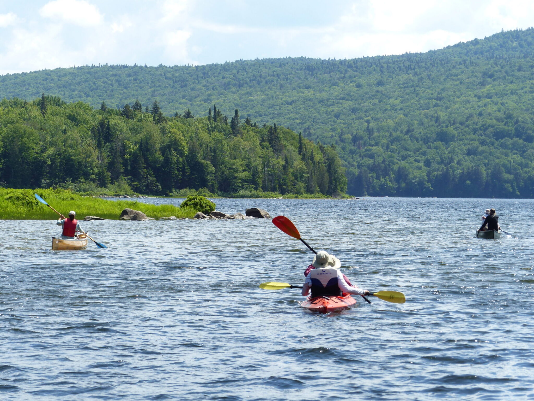 The Ripple Effect: Wakeboats Pose Risks to Loon Nests