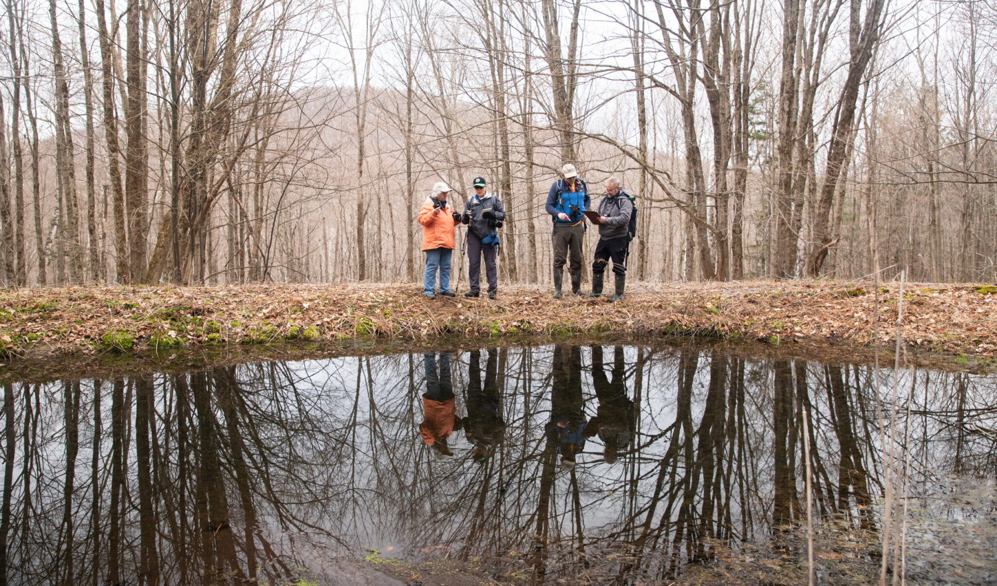 How States Like Vermont Fill the Gaps in Wetland Protection | Vermont ...